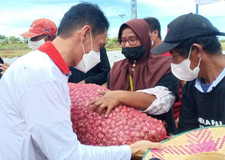 Hari Nusantara 2022 Berkah Untuk Wakatobi - Penasultra.id